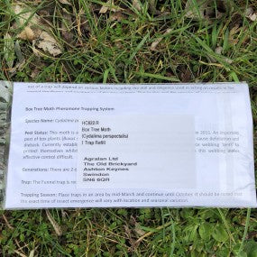 Box Moth Trap (Box Tree Moth) – Agralan Growers
